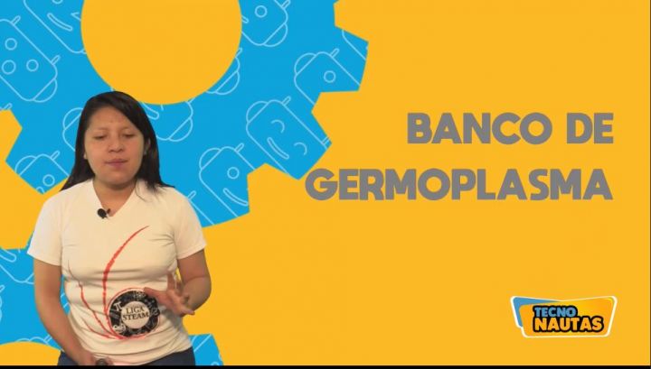 Banco de Germoplasma | CREA