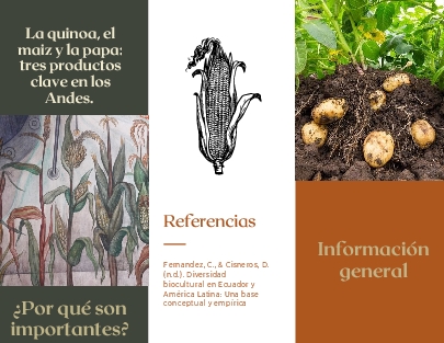 Tríptico: La quinoa, el maiz y la papa: tres productos clave en los Andes | CREA