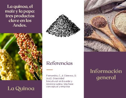 Tríptico: La quinoa como producto clave en los Andes | CREA