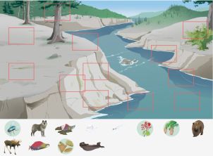 Redes alimentarias terrestres: Ecosistema ribereño en Alaska | CREA