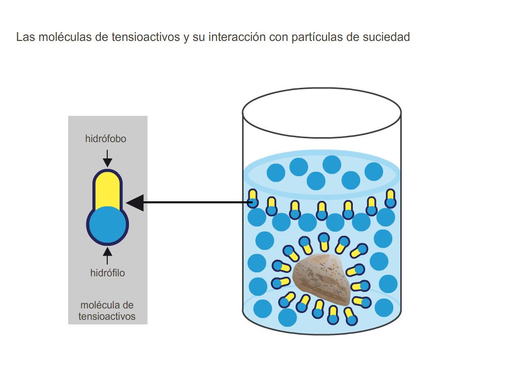Las moléculas de tensioactivos y su interacción con partículas de ...