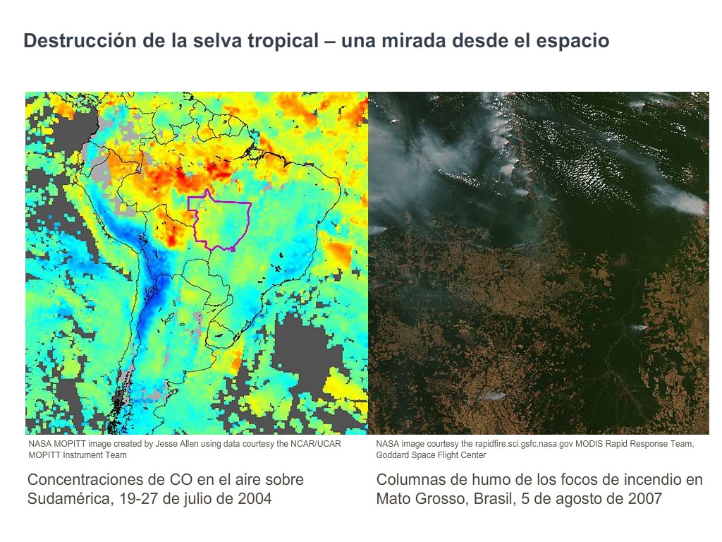 Destrucción de la selva tropical – una mirada desde el espacio | CREA